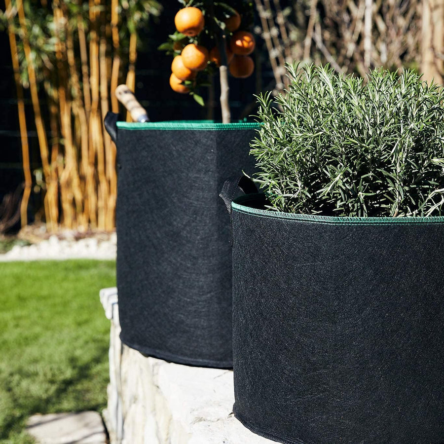 MICRO-AERATED GEOTEXTILE PLANTING BAG 【Summer Sale - 50% OFF ...